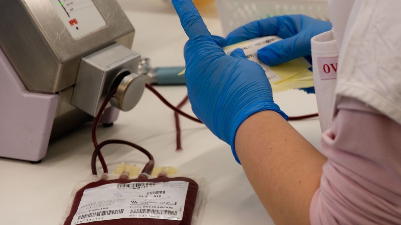 Hétfőn Kurdon is adhatunk vért