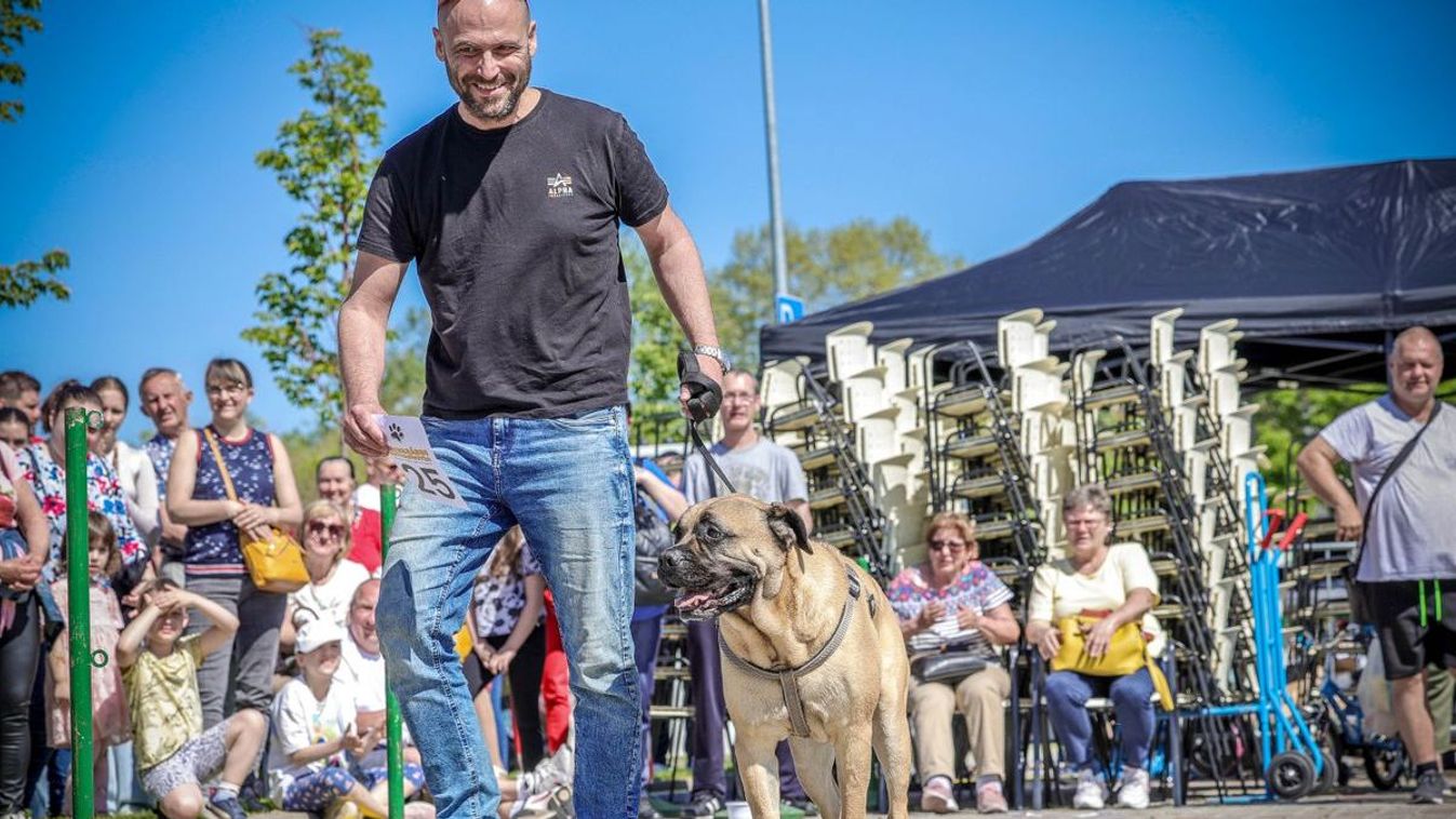 Városi retro majális: Kifli, Jack, Mini kutyák a legszebbek