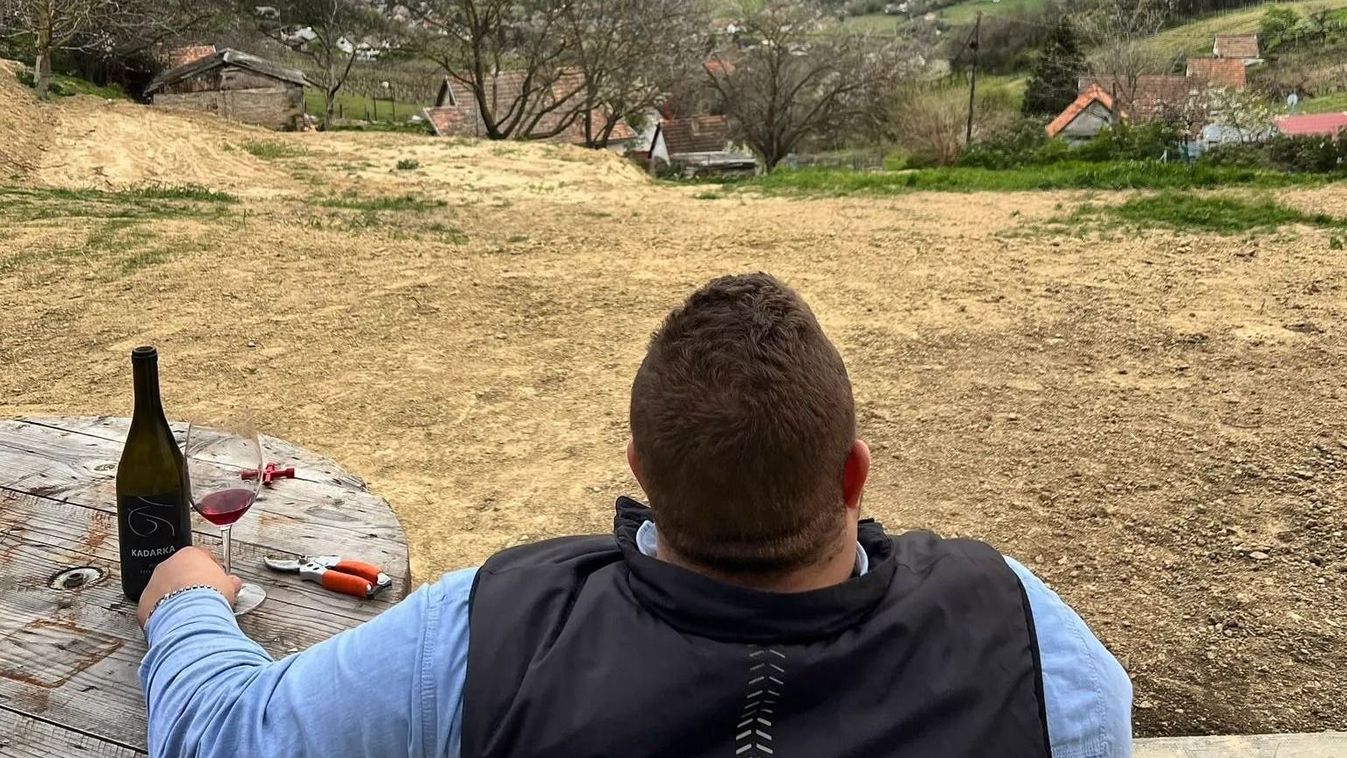 Borbírálat kezdőknek és profiknak: Molnár András így csinálja