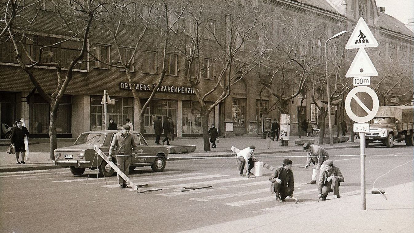 A zebra így tűnt el Szekszárd központjából