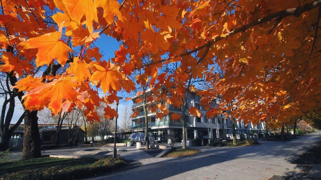 A vénasszonyoknak is kijár a lazítás