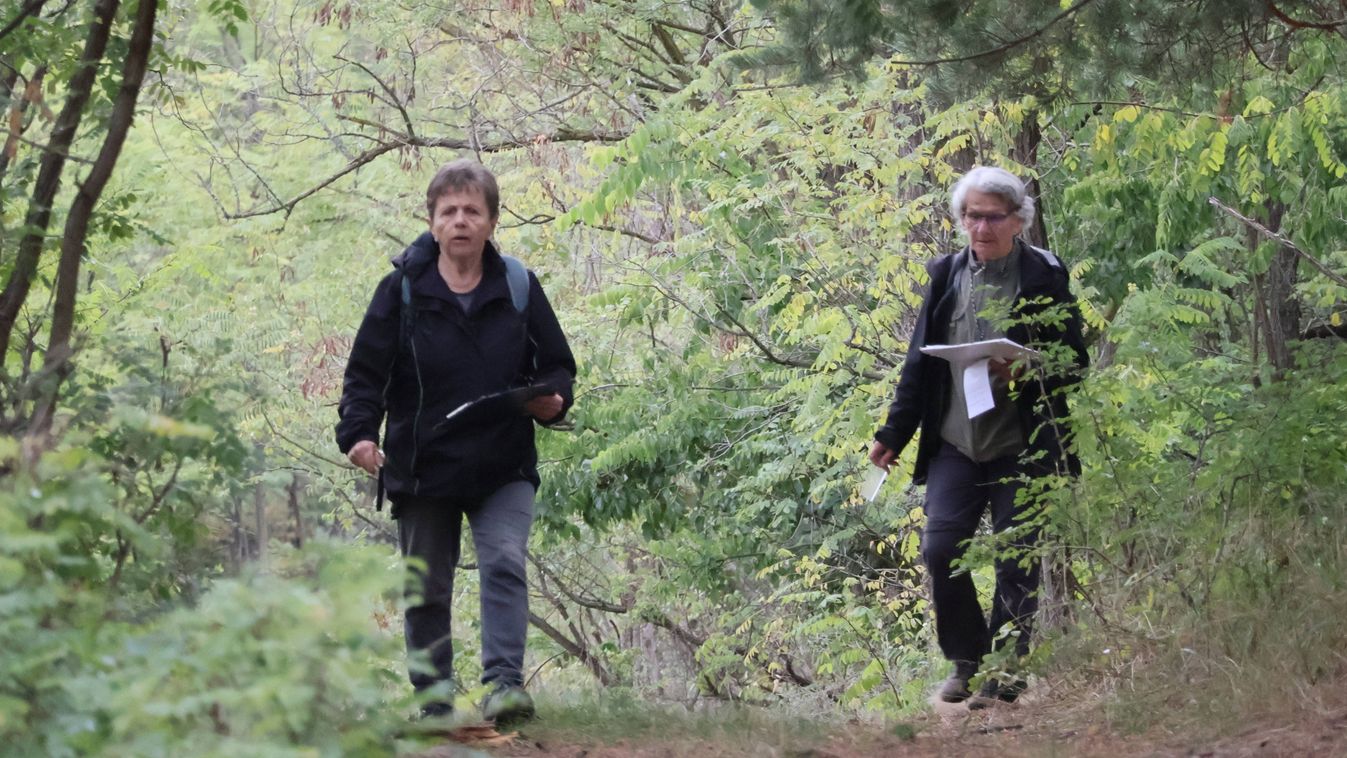 A Bakancsos Atom Kupa túraversenyét hagyományosan márciusban rendezik