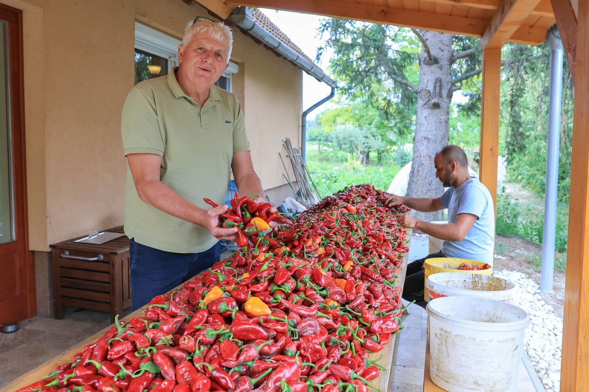 Egekbe szökött az őrölt fűszerpaprika ára