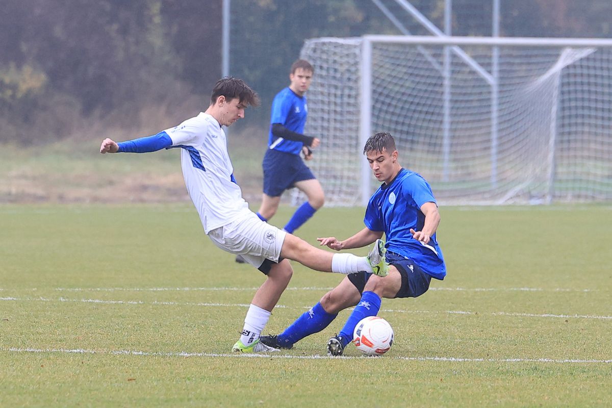 Egyre jobb formába lendül a rutinos játékosok húzta Bátaszék SE