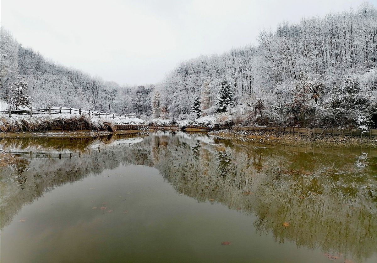 A vármegye legszebb téli pillanatai olvasóink fotóin (sok képpel)